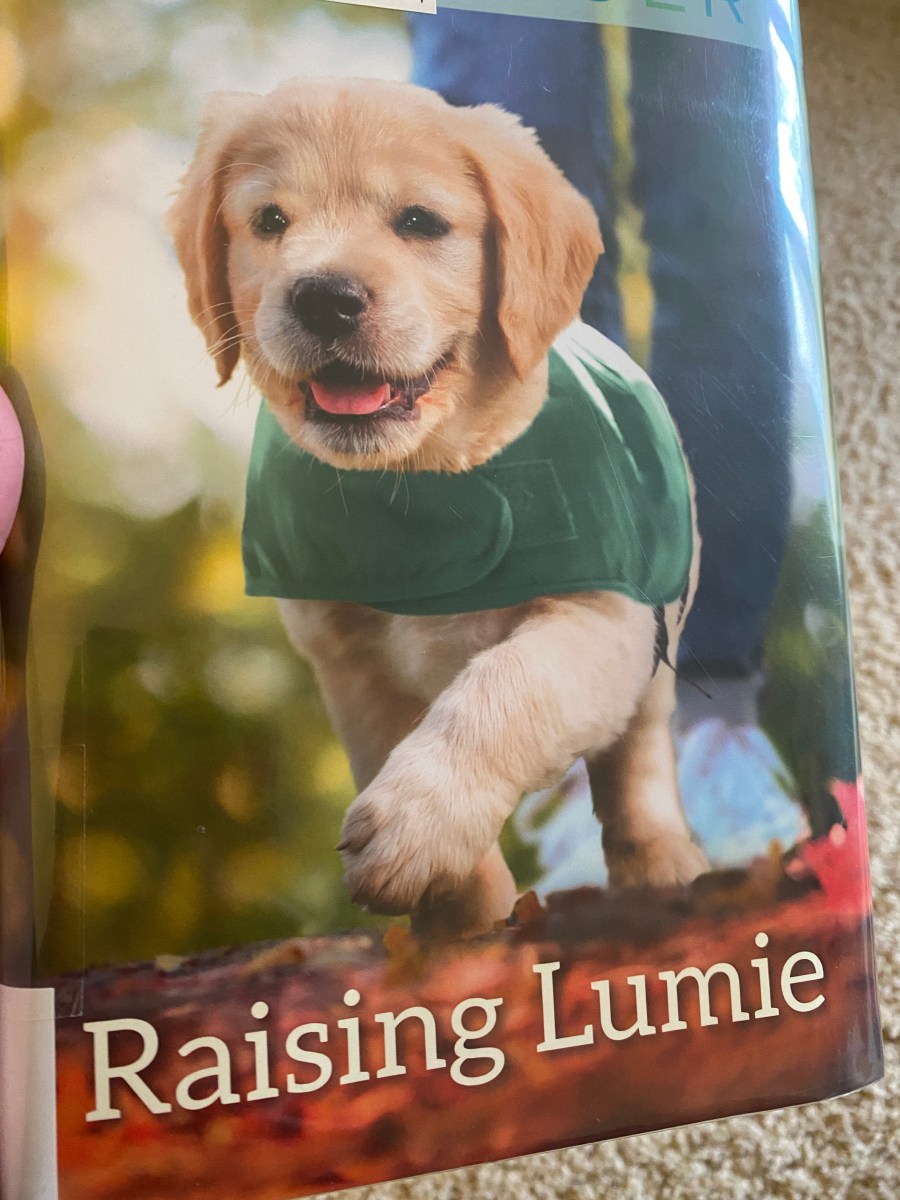 Raising Lumie – Cultivating Readers